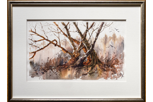 TryBooking Australia