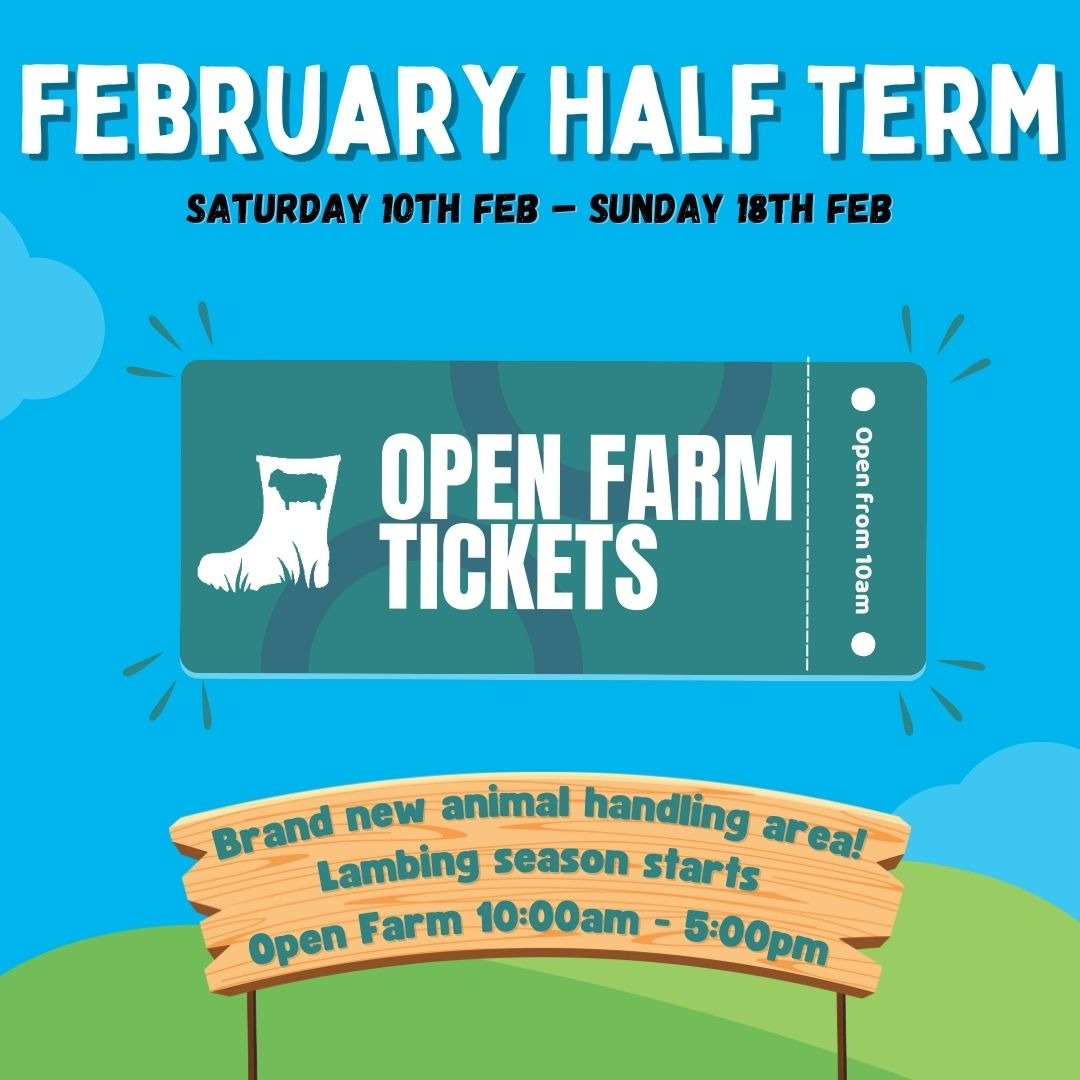 February Half Term Tickets Greenlands Farm Village Carnforth